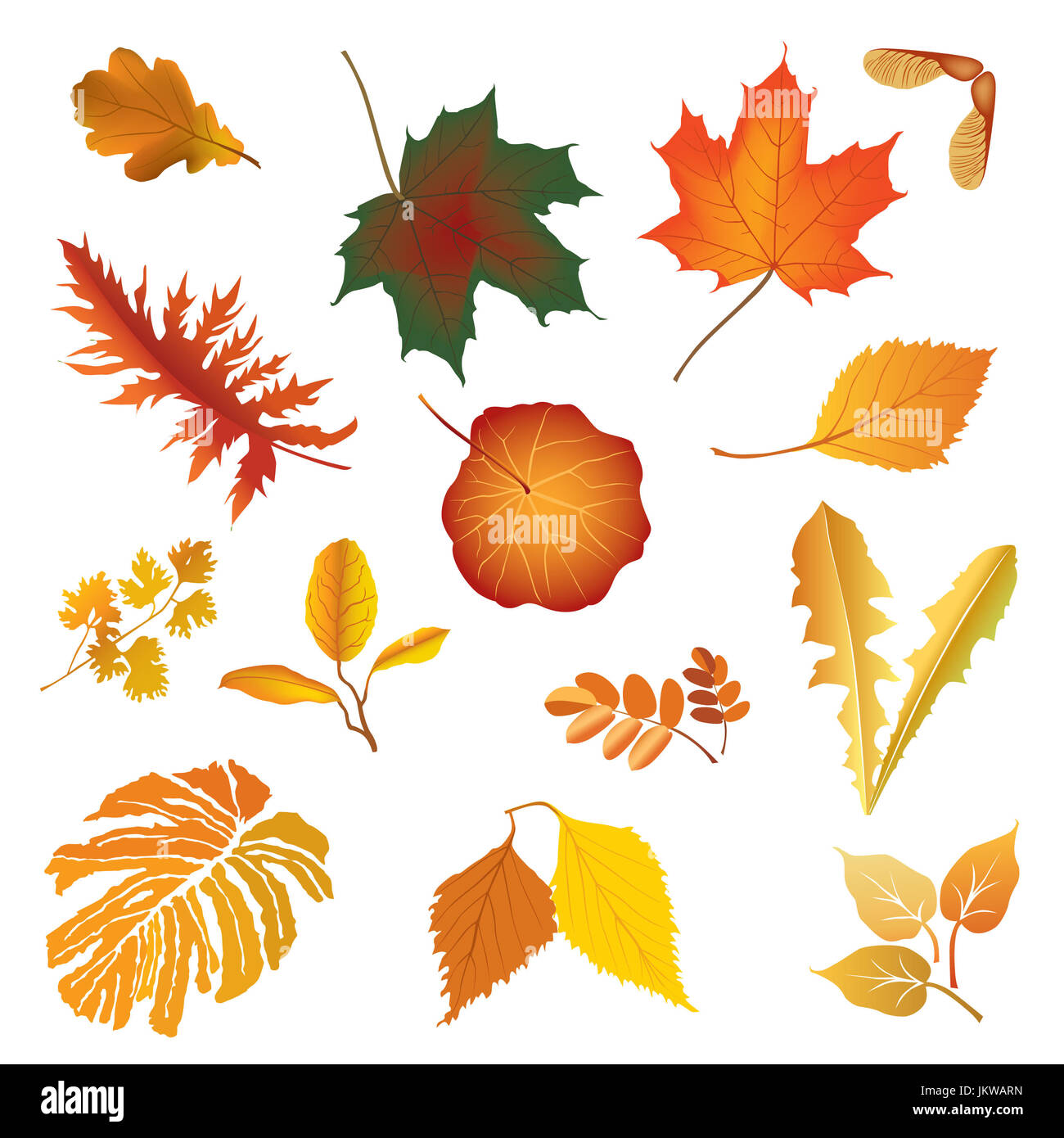 Nature fall leaf icon set Herb floral sign Autumn leaves season ...