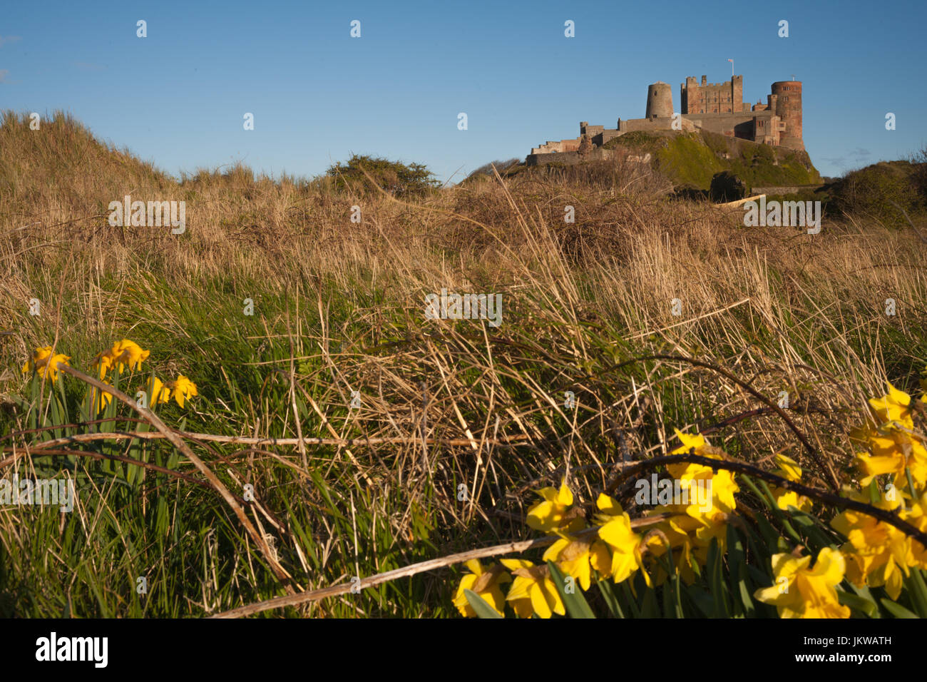 Anglo saxon castle hi-res stock photography and images - Alamy