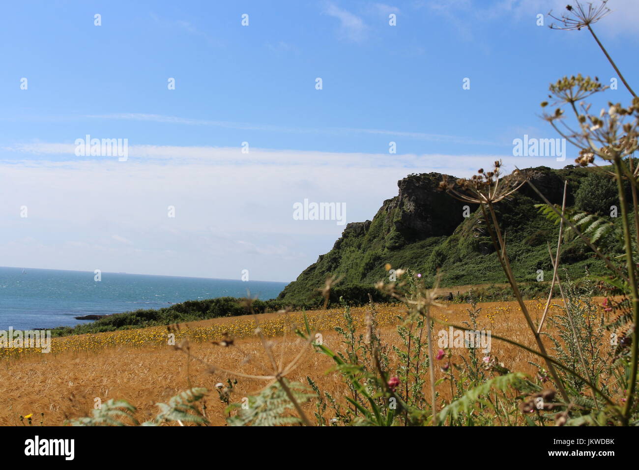 Coastal crops hi-res stock photography and images - Alamy