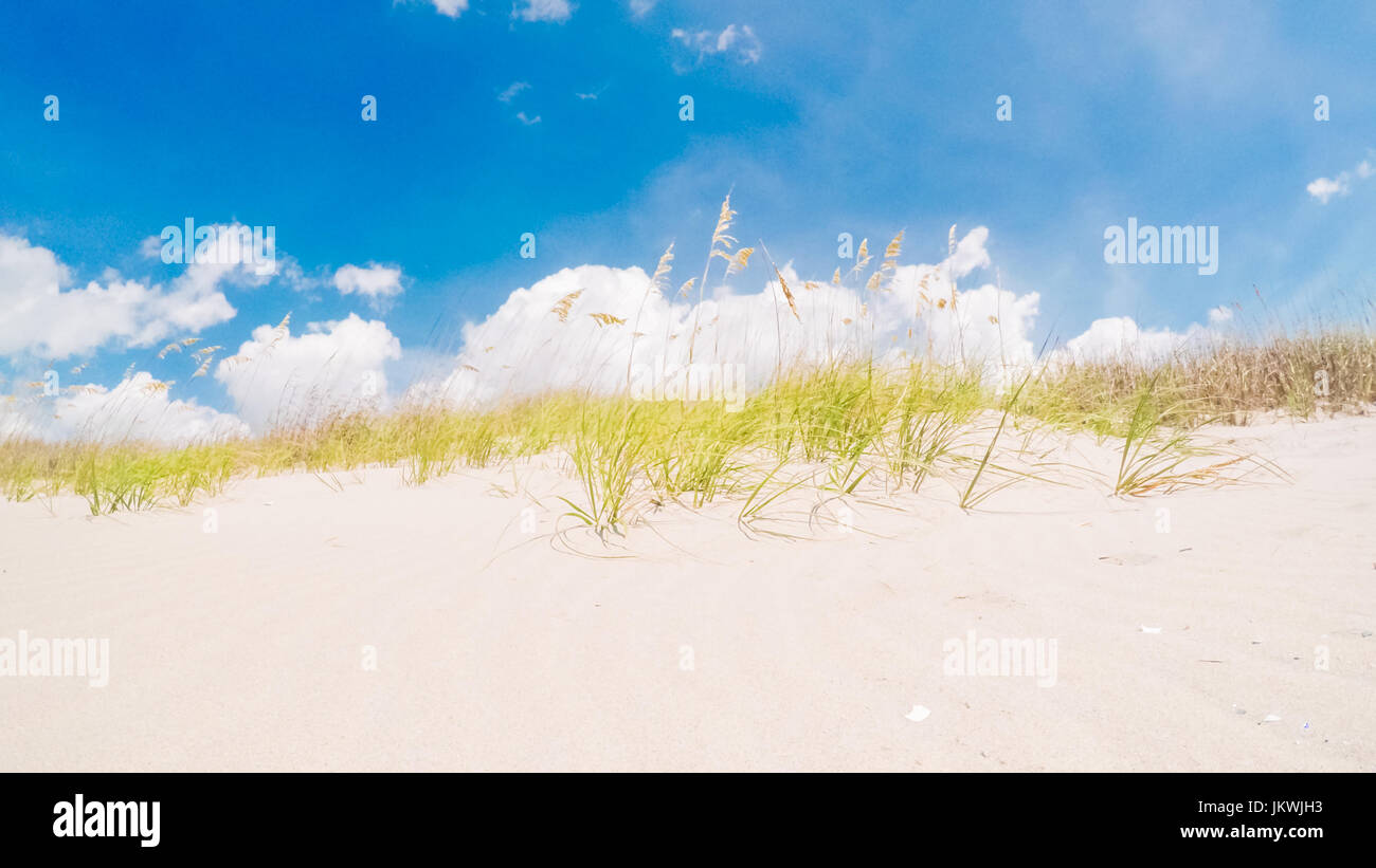 Summer vacation on the beach in South Carolina Stock Photo - Alamy