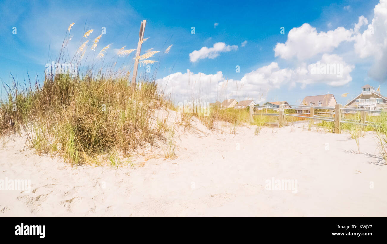Summer vacation on the beach in South Carolina Stock Photo - Alamy