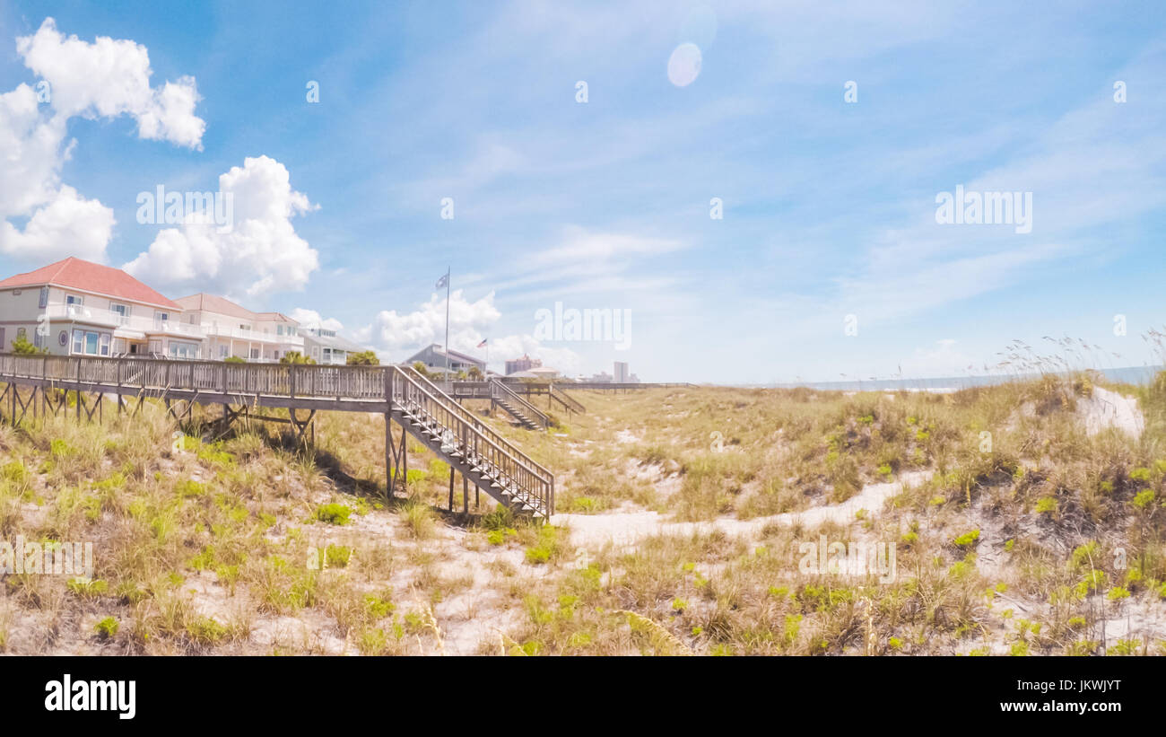 Summer vacation on the beach in South Carolina Stock Photo - Alamy