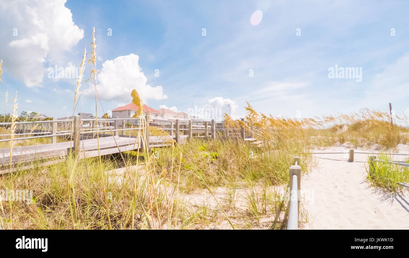 Summer vacation on the beach in South Carolina Stock Photo - Alamy