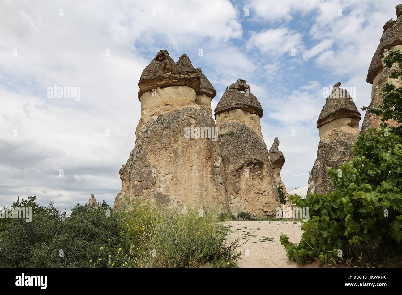 Rock Formations in Pasabag Monks Valley, Cappadocia, Turkey Stock Photo ...