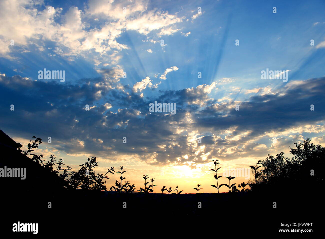 Striking rays as sunset filters through light cloud Stock Photo - Alamy