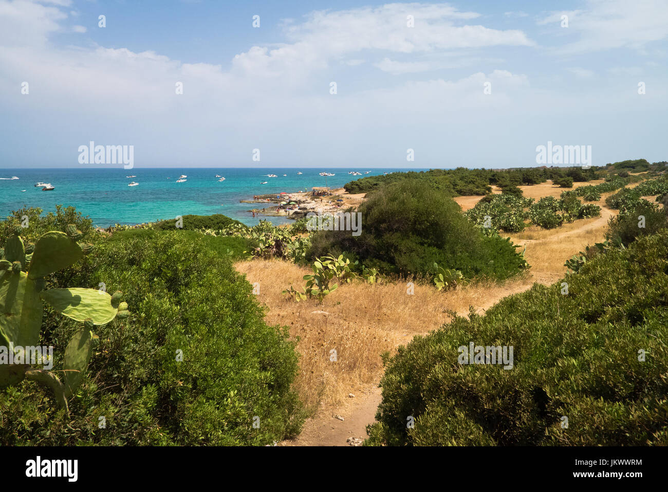 wild Mediterranean vegetation along the Adriatic coast of Apulia, a ...