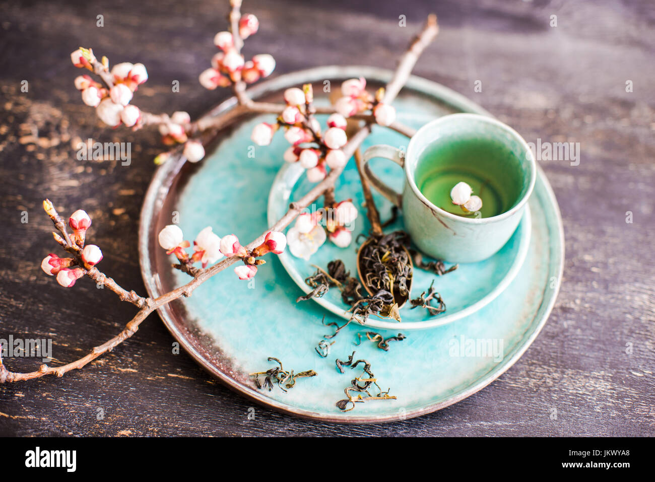 Cup of green tea and peach blossom on dark rustic table as a spring ...
