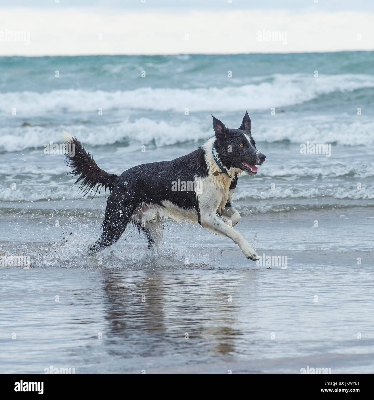 Family beach playing sea hi-res stock photography and images - Alamy