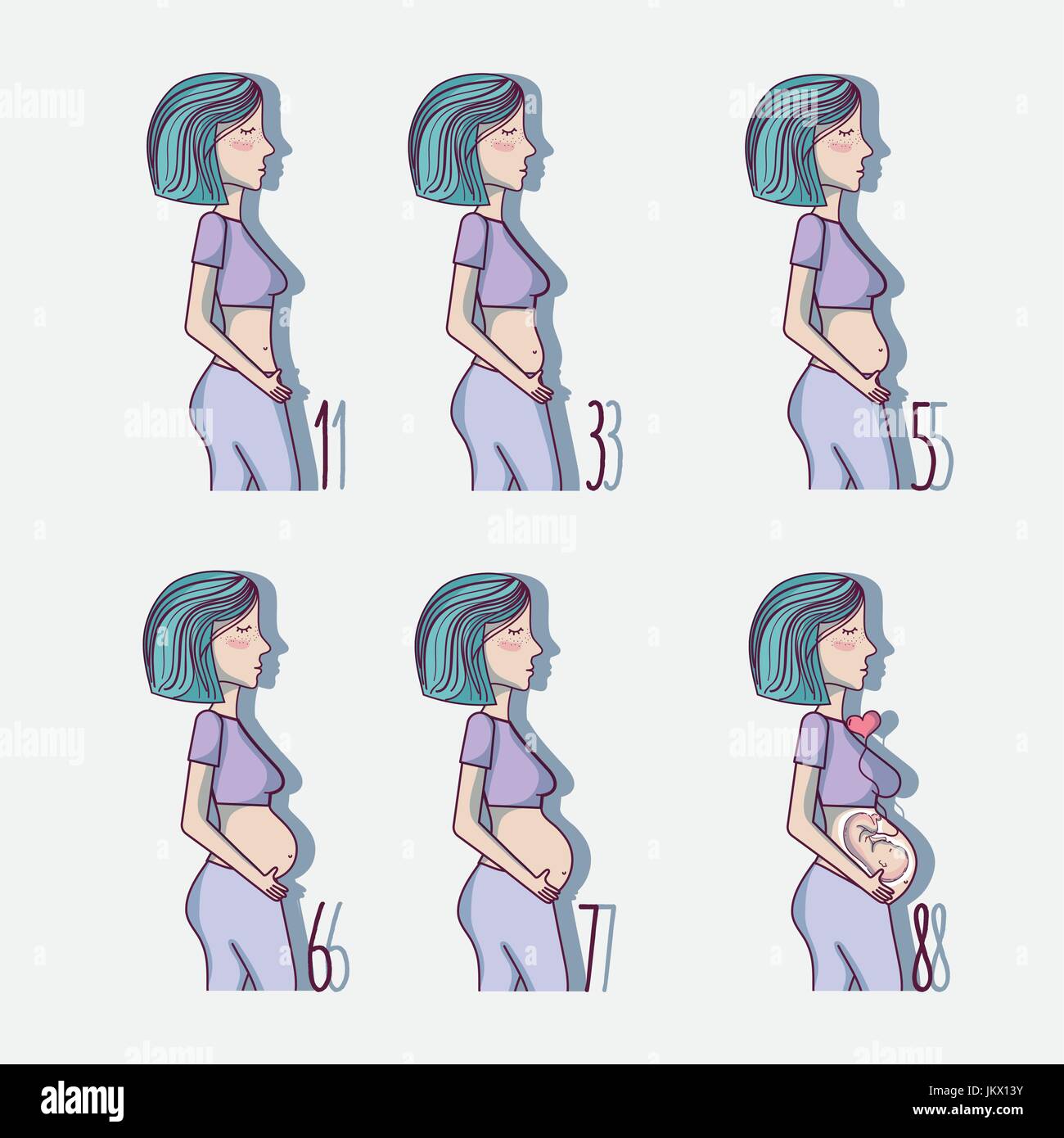 set pregnancy cycle process of the week Stock Vector Image & Art - Alamy