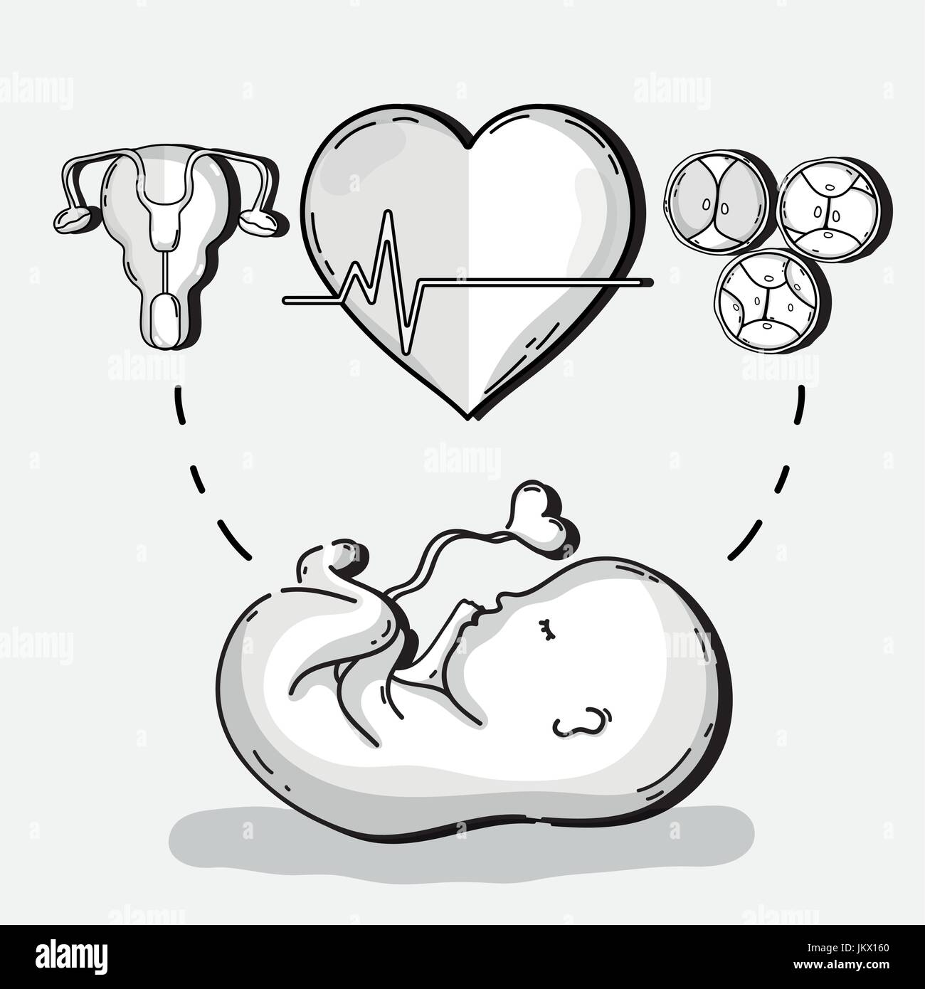 baby inside uterum Stock Vector Image & Art - Alamy