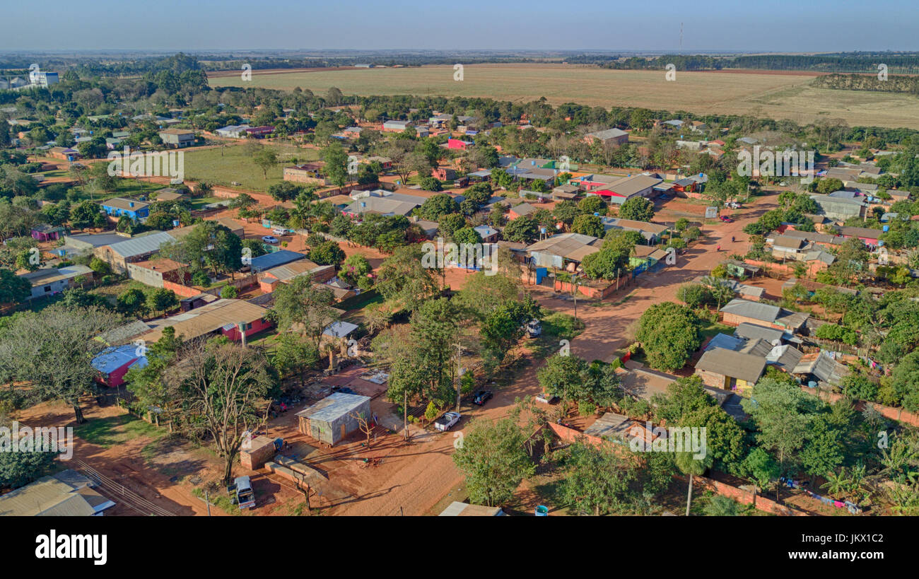 Plants of paraguay hi-res stock photography and images - Alamy