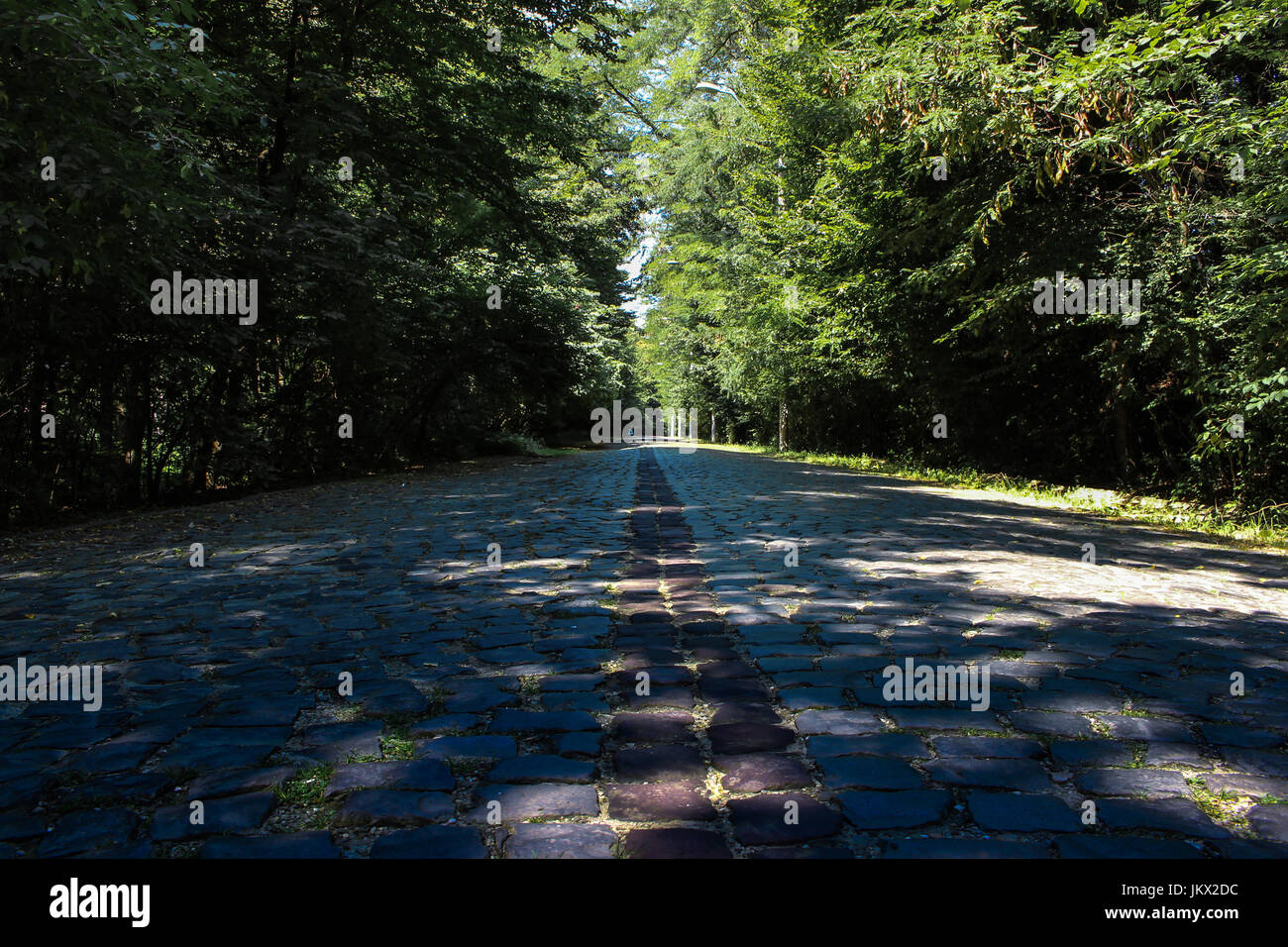 A cubic stone road in the forest Stock Photo - Alamy