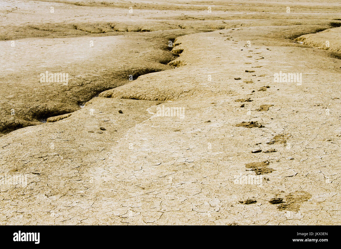 Footsteps in desert-like soil near mud volcano in Berca, Romania Stock ...