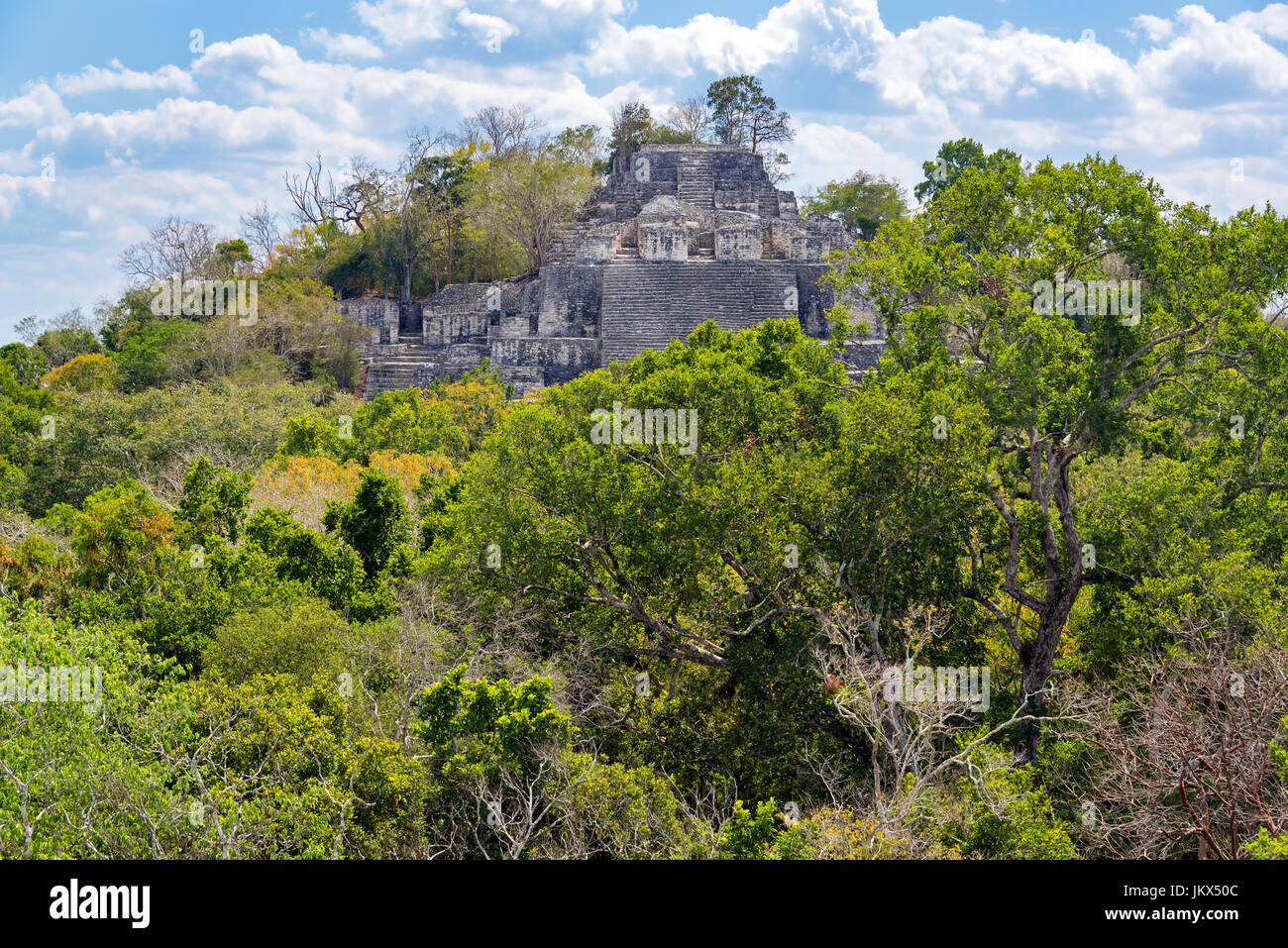 View of huge pyramid in the ancient Mayan ruins of Calakmul, Mexico ...