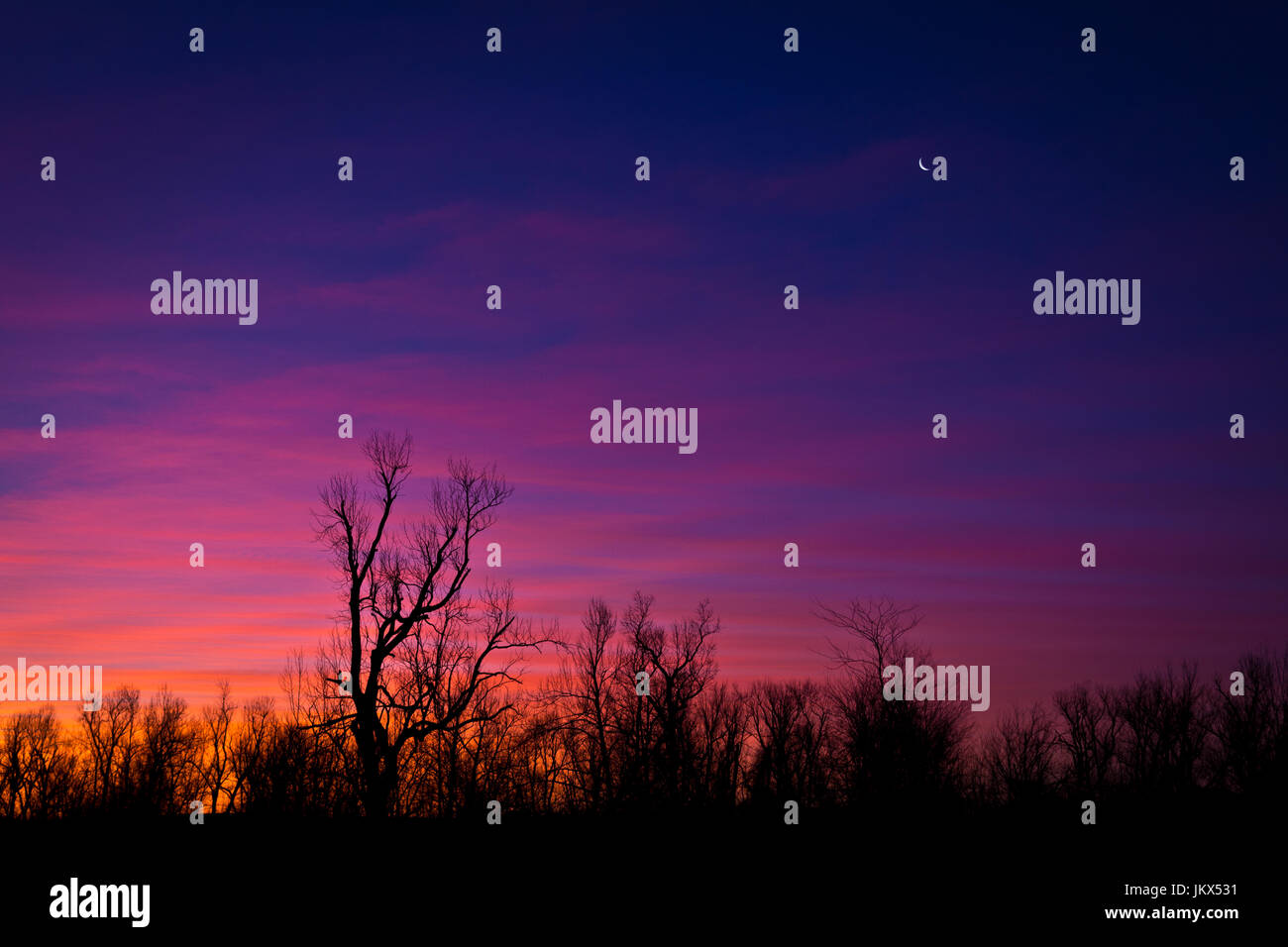 Sunrise and moon over trees in Fayetteville, Arkansas Stock Photo - Alamy