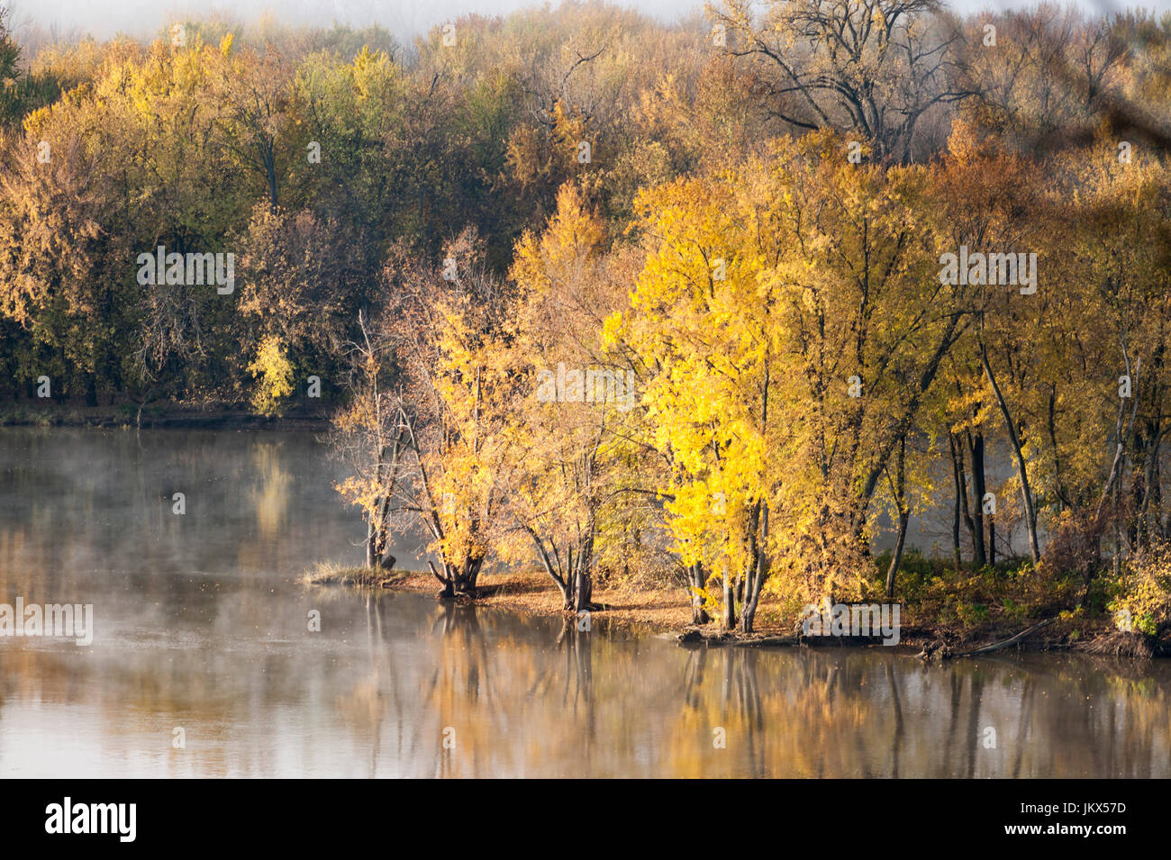 fall colors, yellow leaves Stock Photo - Alamy