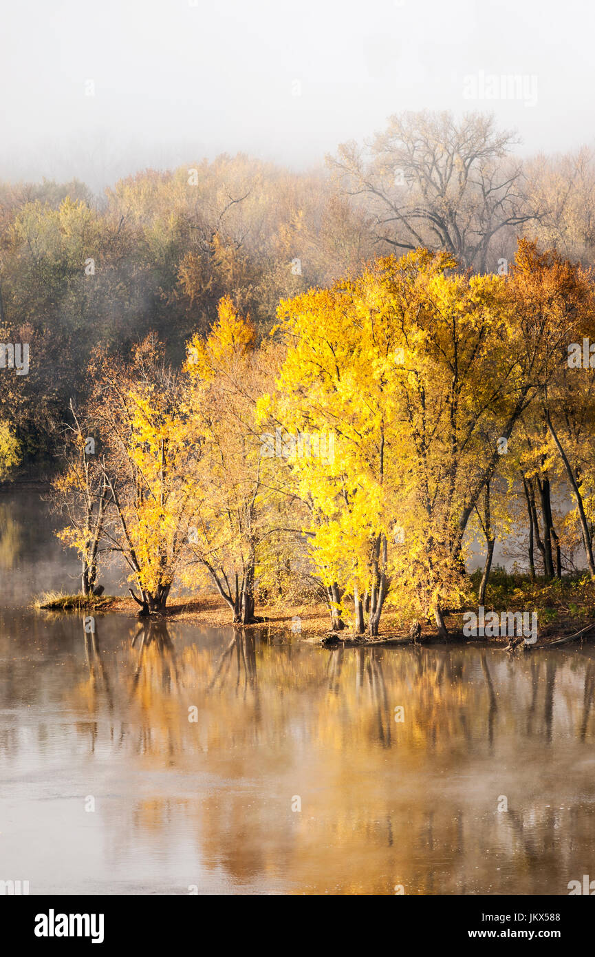 fall colors, yellow leaves Stock Photo - Alamy
