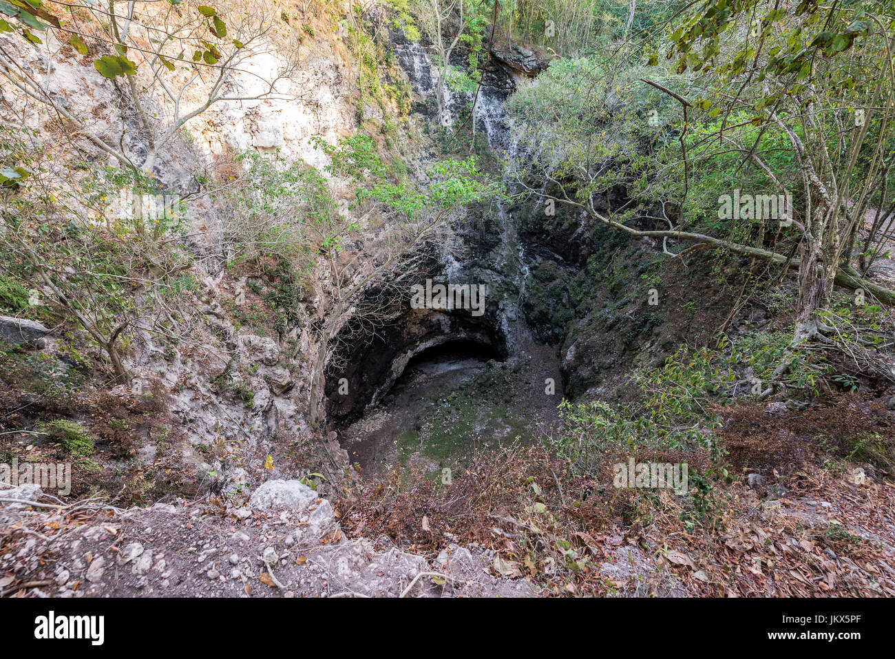 Zotz bat cave in the late afternoon in Xpujil, Mexico Stock Photo - Alamy