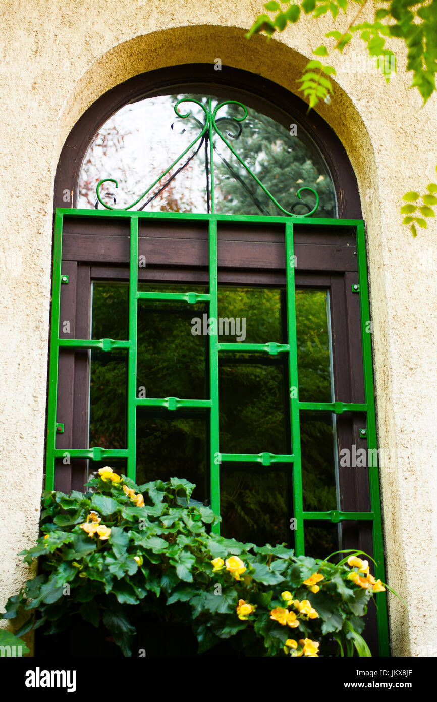 Metal iron railing grid on house window to prevent burglary invasion ...