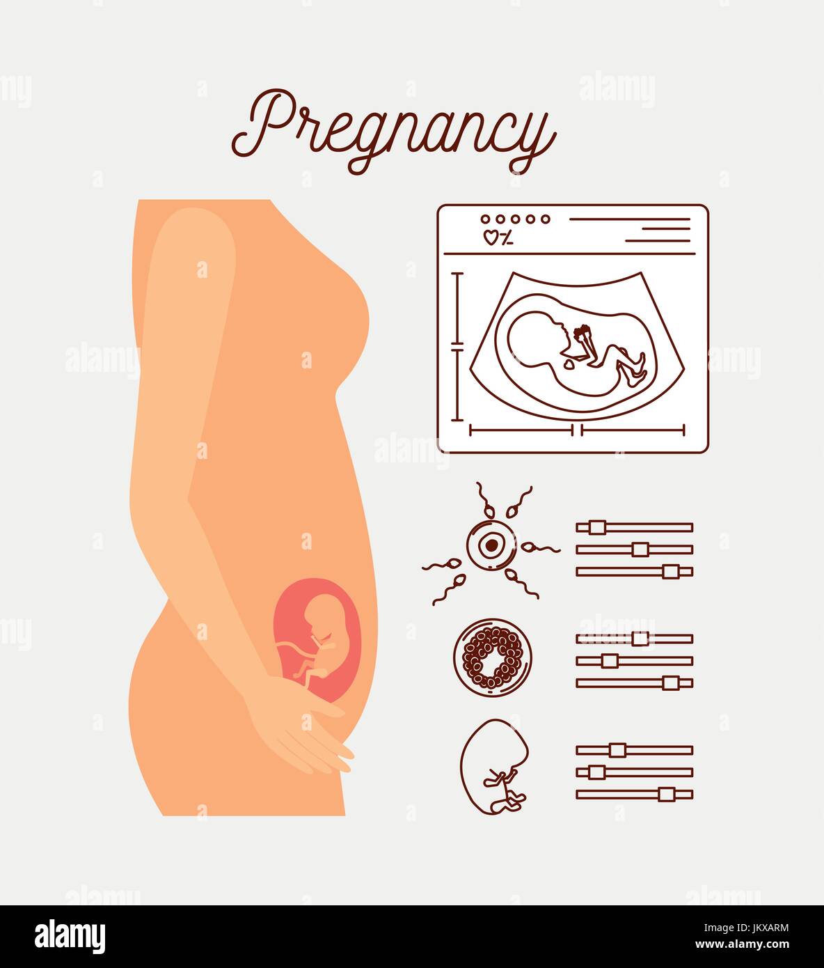 white background with color silhouette pregnancy process in female body ...