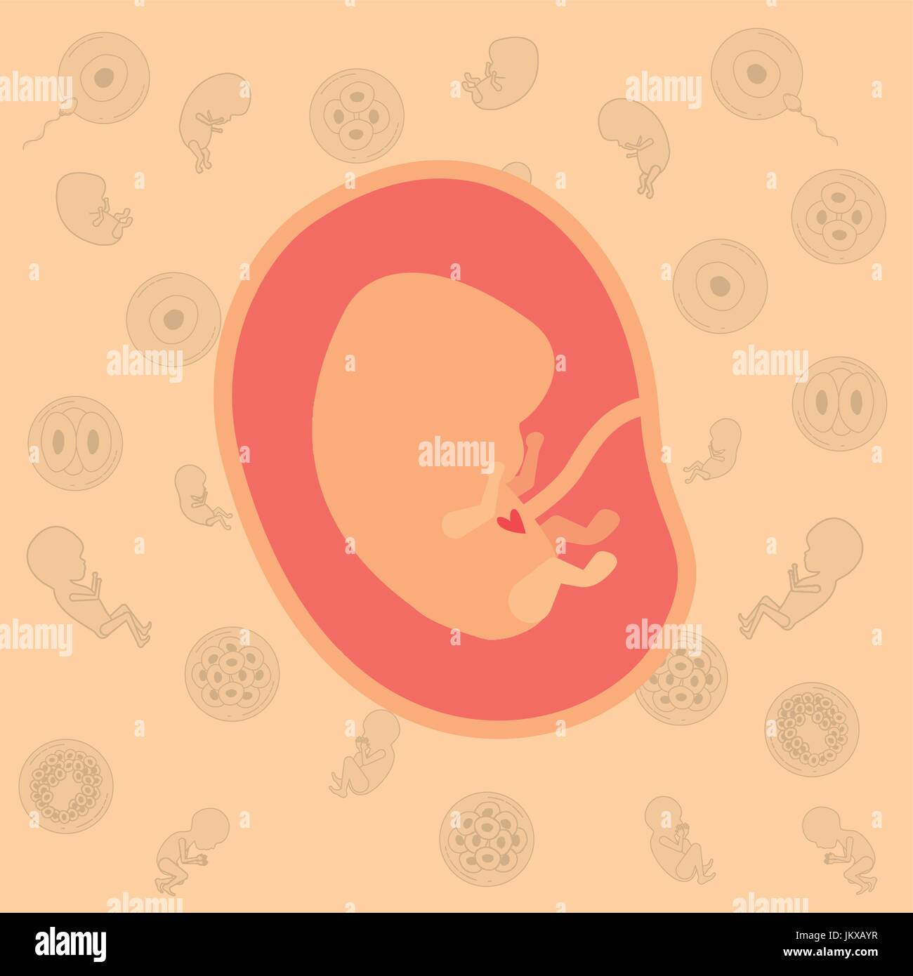 color background pattern pregnancy icons with fetus human embryo growth ...