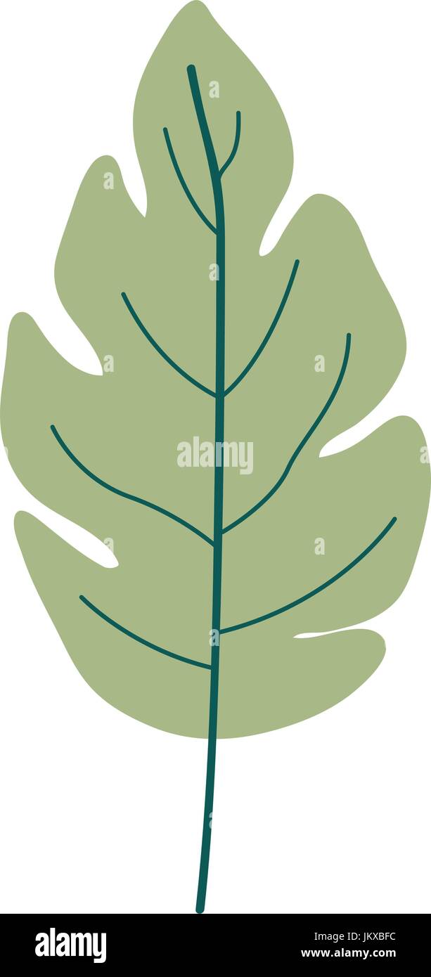 green light color of lobed leaf plant Stock Vector Image & Art - Alamy