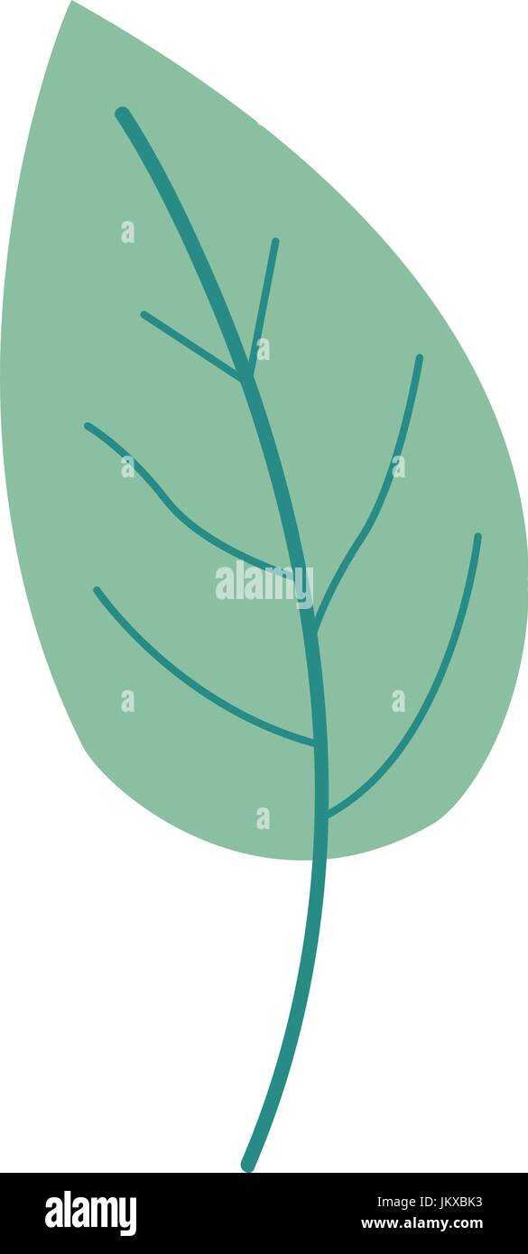 green color of simple leaf plant Stock Vector Image & Art - Alamy