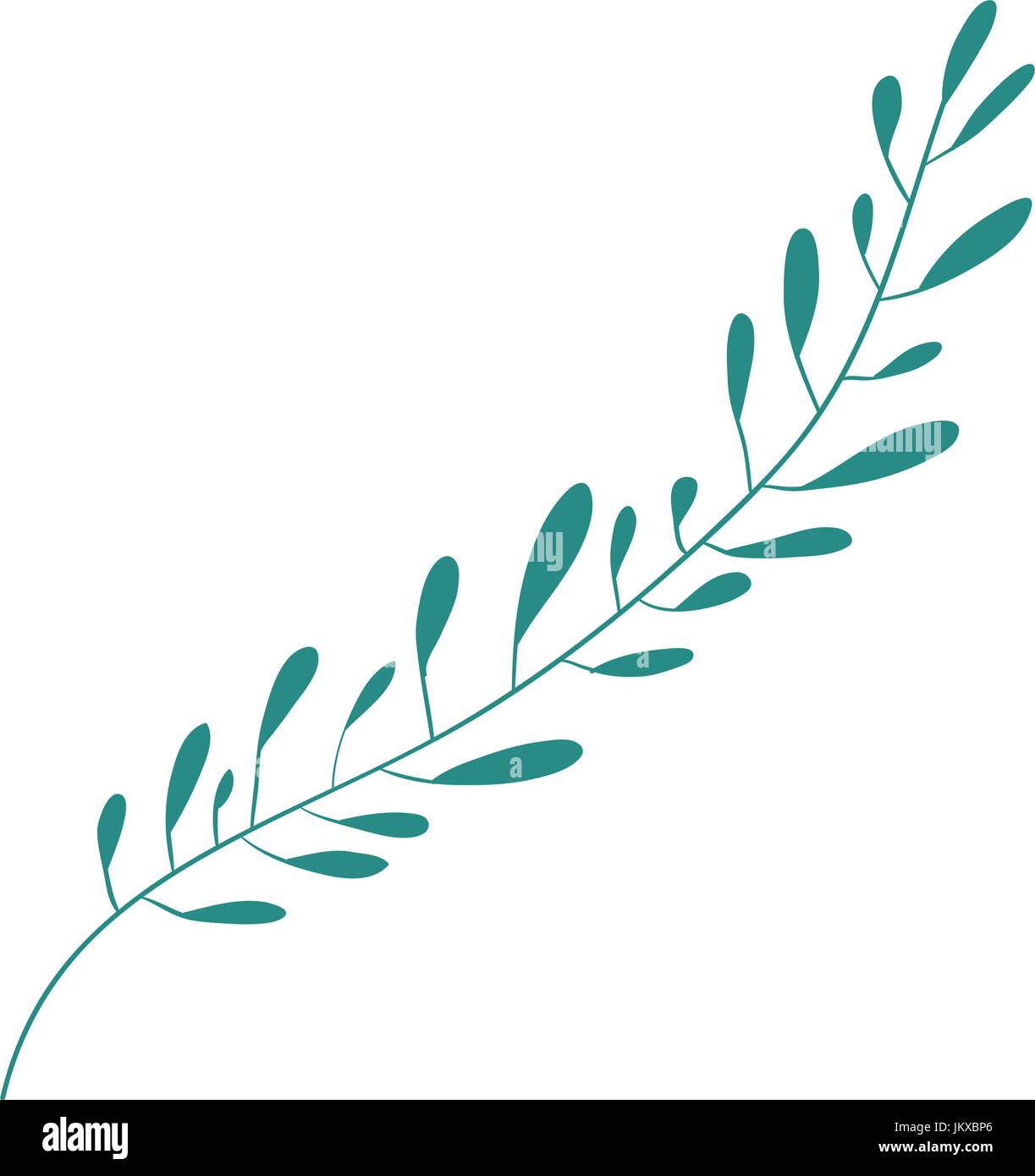 hand drawing green color leaf with several ramifications Stock Vector ...