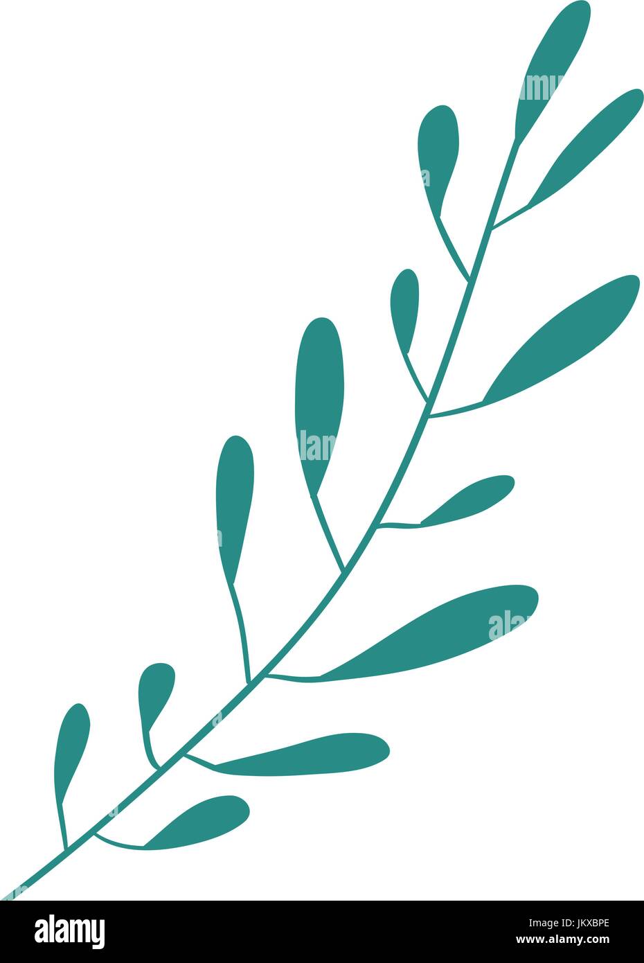 hand drawing green color leaf oval shape with several ramifications ...