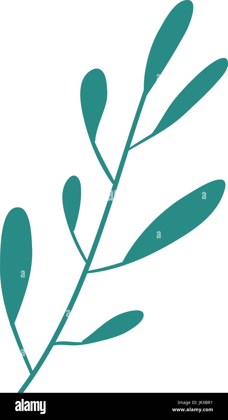 hand drawing closeup green color leaf oval shape with several ...