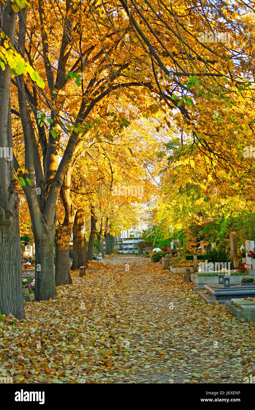 Autumn cemetery at All Souls' Day Stock Photo - Alamy