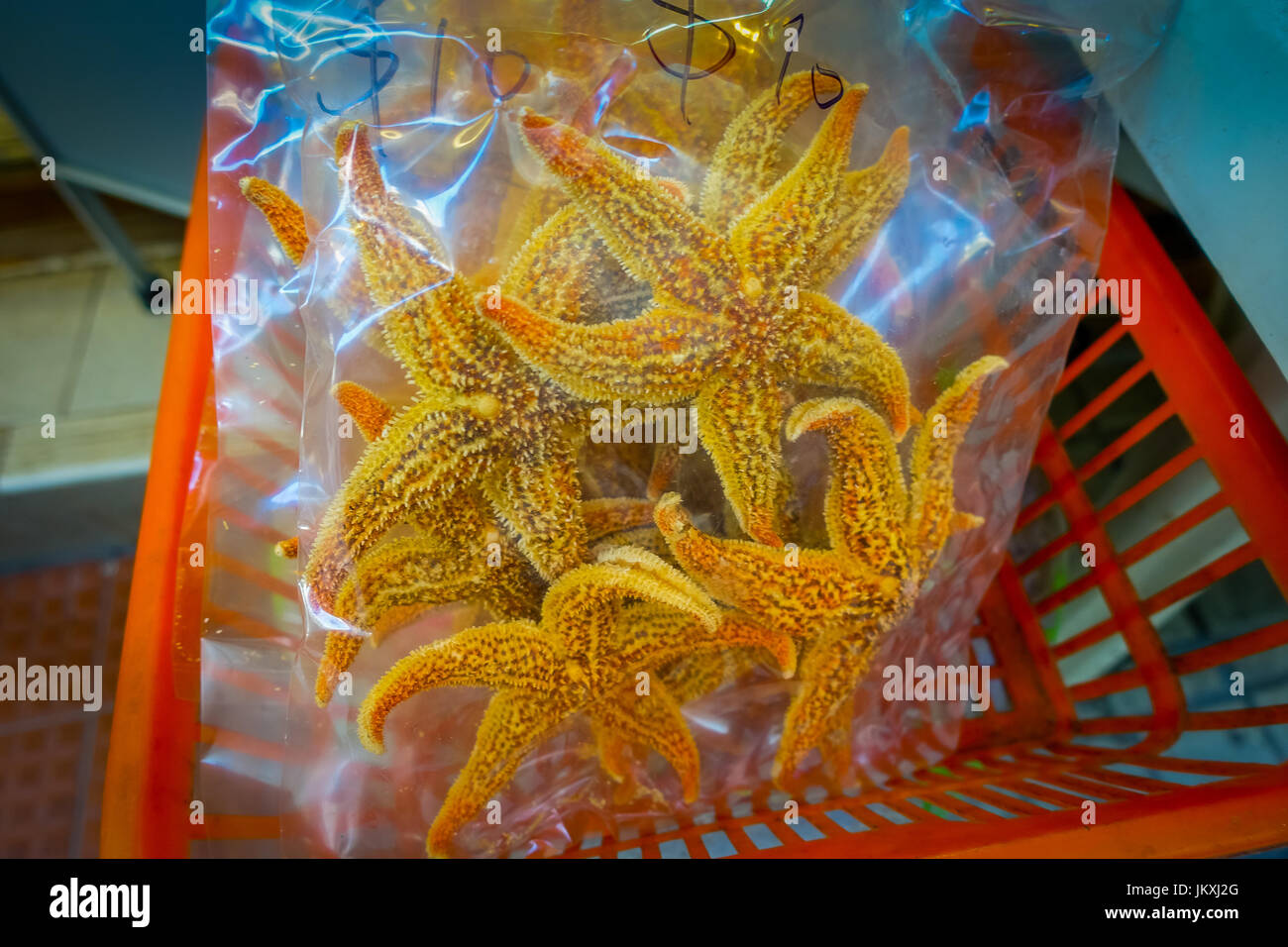 Dry sea stars inside of a plastic bags, in an orange baskets, in a ...