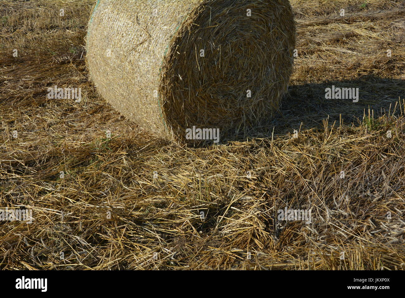 Bales of straw on stubble field hi-res stock photography and images - Alamy