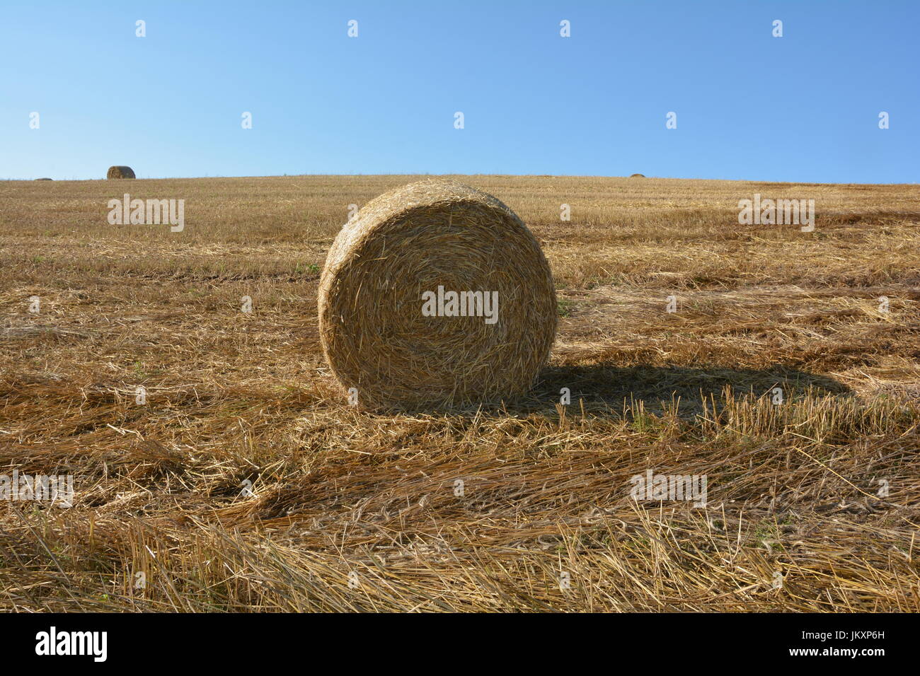 Straw ball hi-res stock photography and images - Alamy