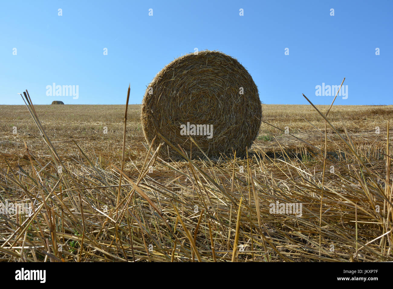 Straw ball hi-res stock photography and images - Alamy