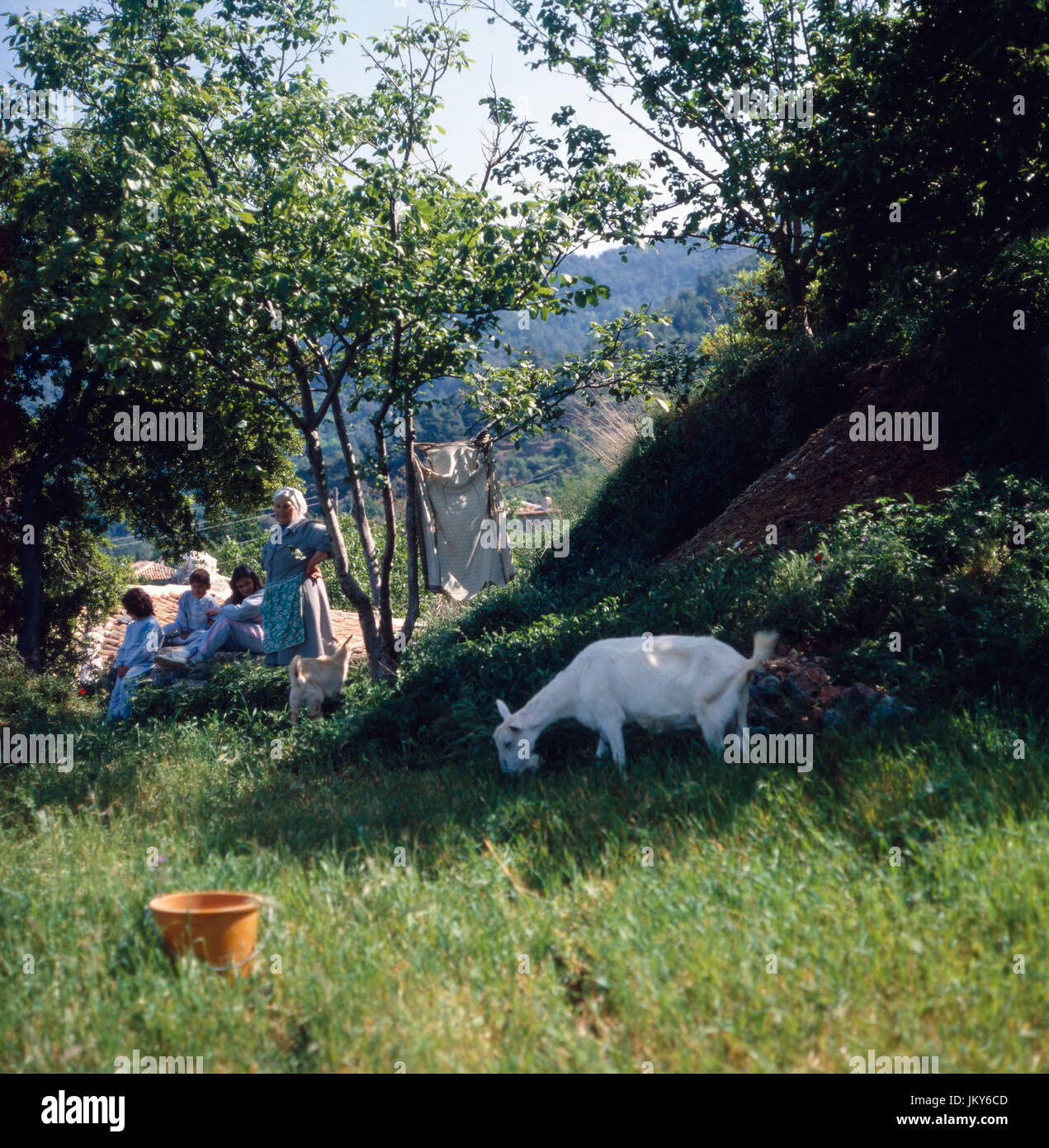 Bauernfamilie mit ihrer Ziege auf der Insel Samos, Griechenland 1980er ...