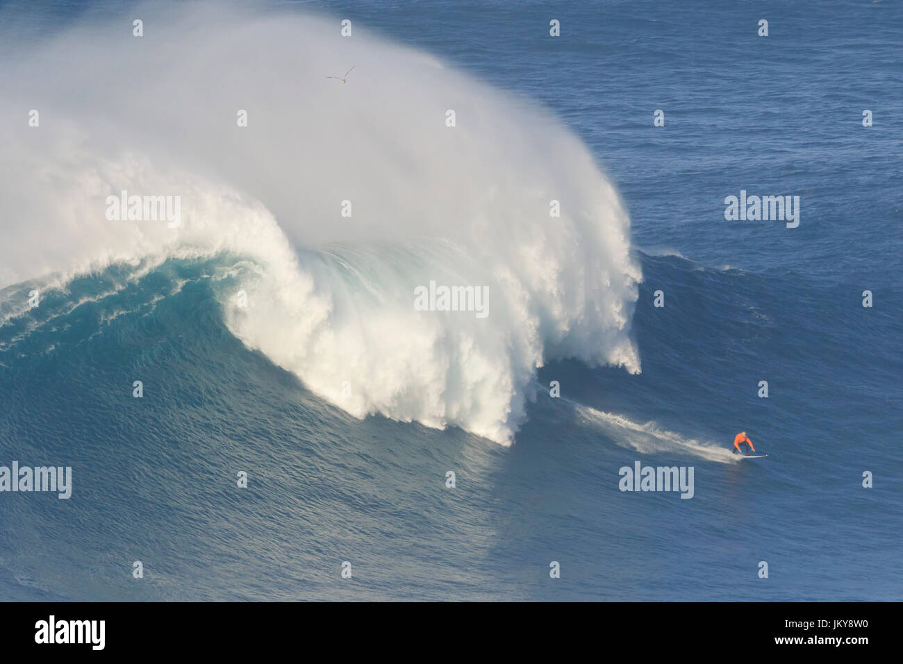 Big Wave Surfing Event The Biggest Surfing Waves In The World At