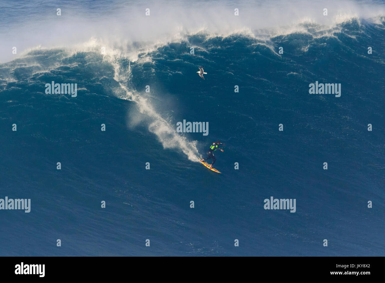 Big Wave Surfing Event The Biggest Surfing Waves In The World At