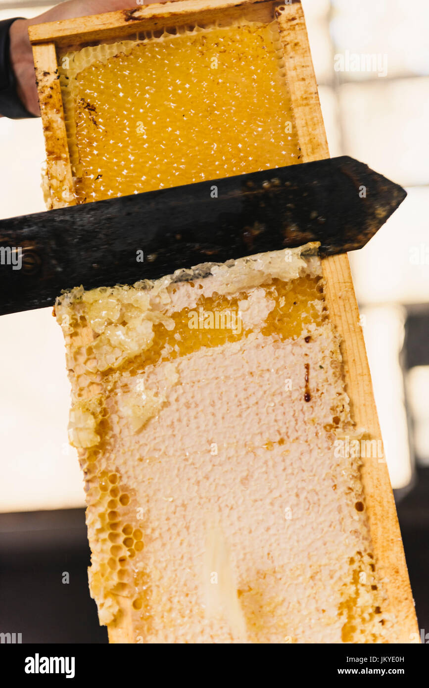 making honey, mel Stock Photo - Alamy