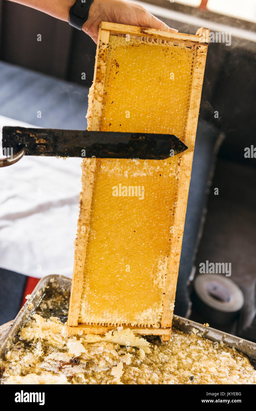 making honey, mel Stock Photo - Alamy