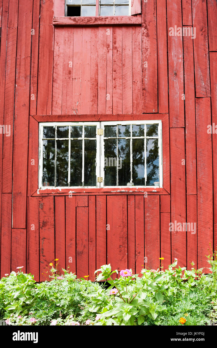 red barn, windows, red wood Stock Photo - Alamy