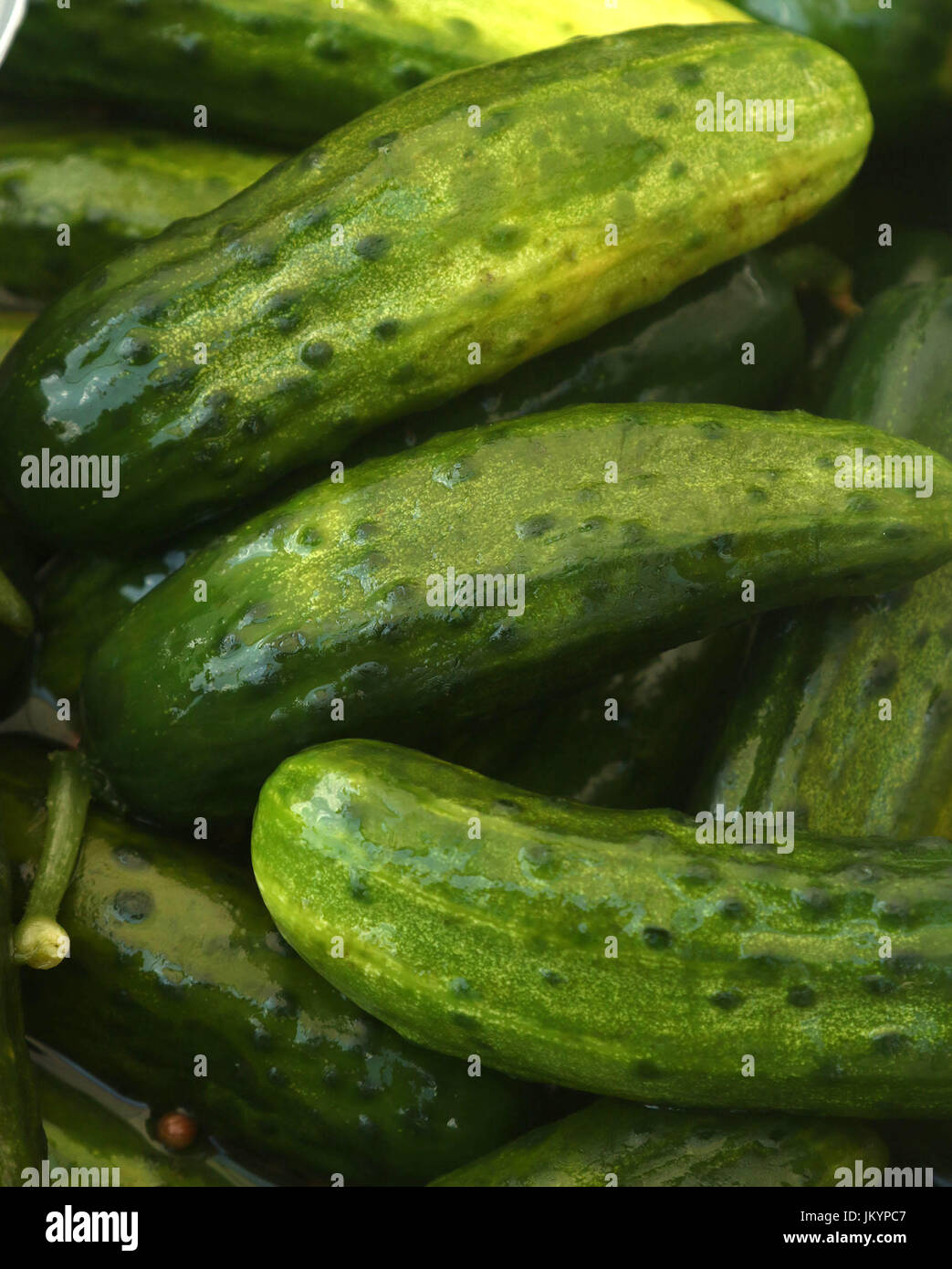 Pickle barrel hi-res stock photography and images - Alamy