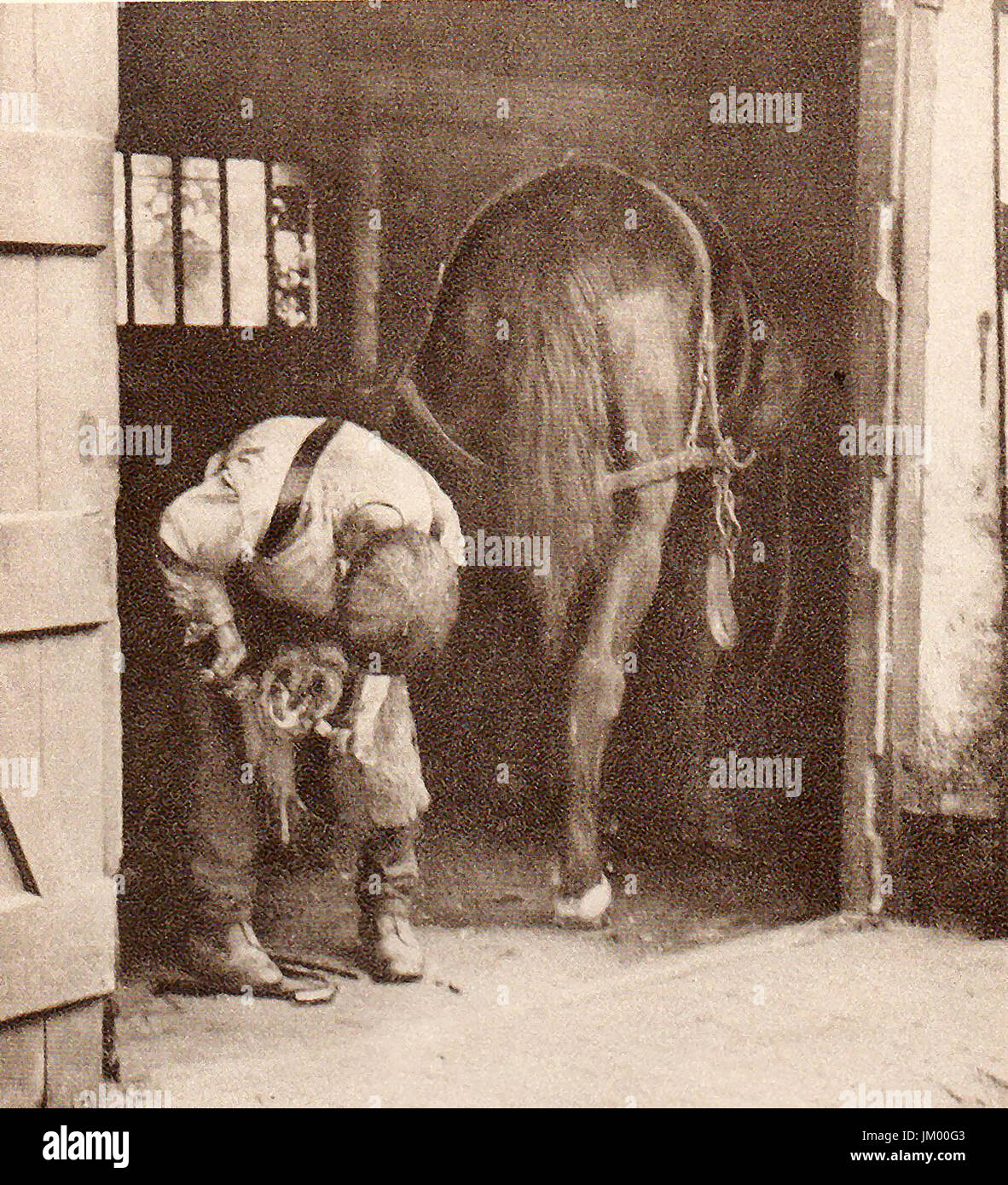Farriers tools hi-res stock photography and images - Alamy