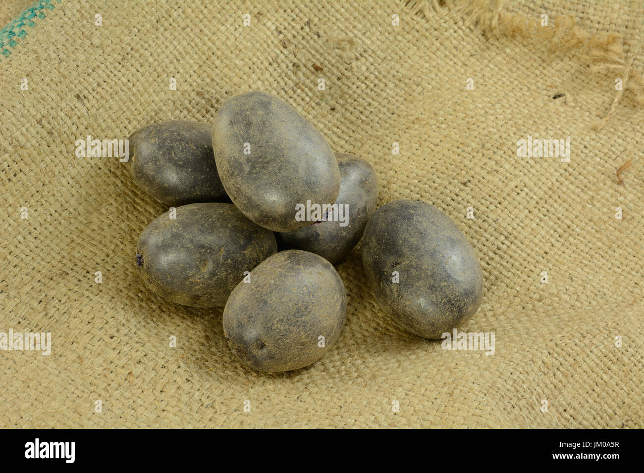 Potato harvest peru hi-res stock photography and images - Alamy