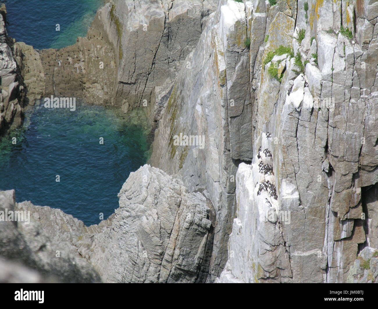 Lundy Island famous for wildlife and stunning scenery in the Bristol ...