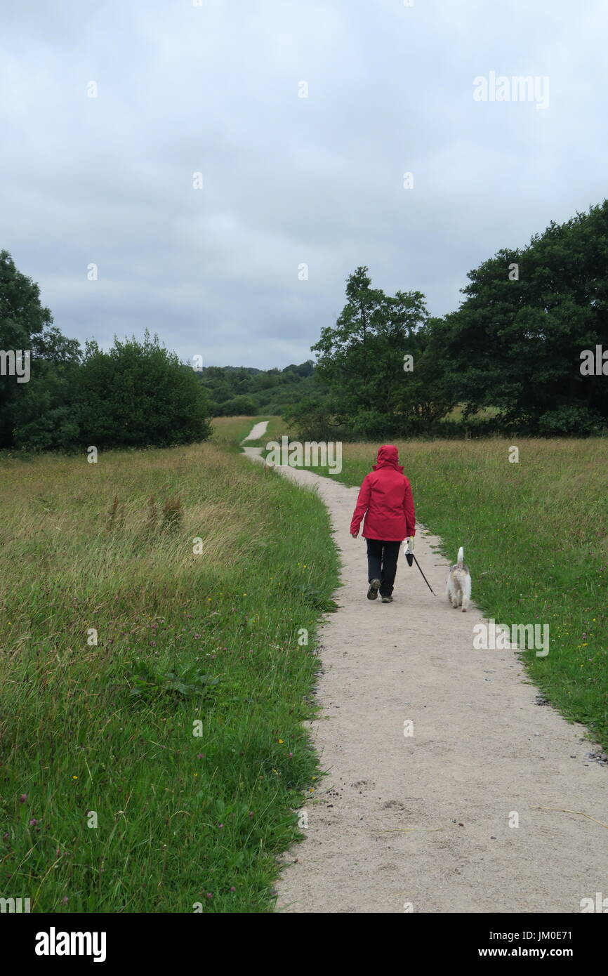 FEMALE WALKING HER DOG IN THE WOODS Stock Photo - Alamy