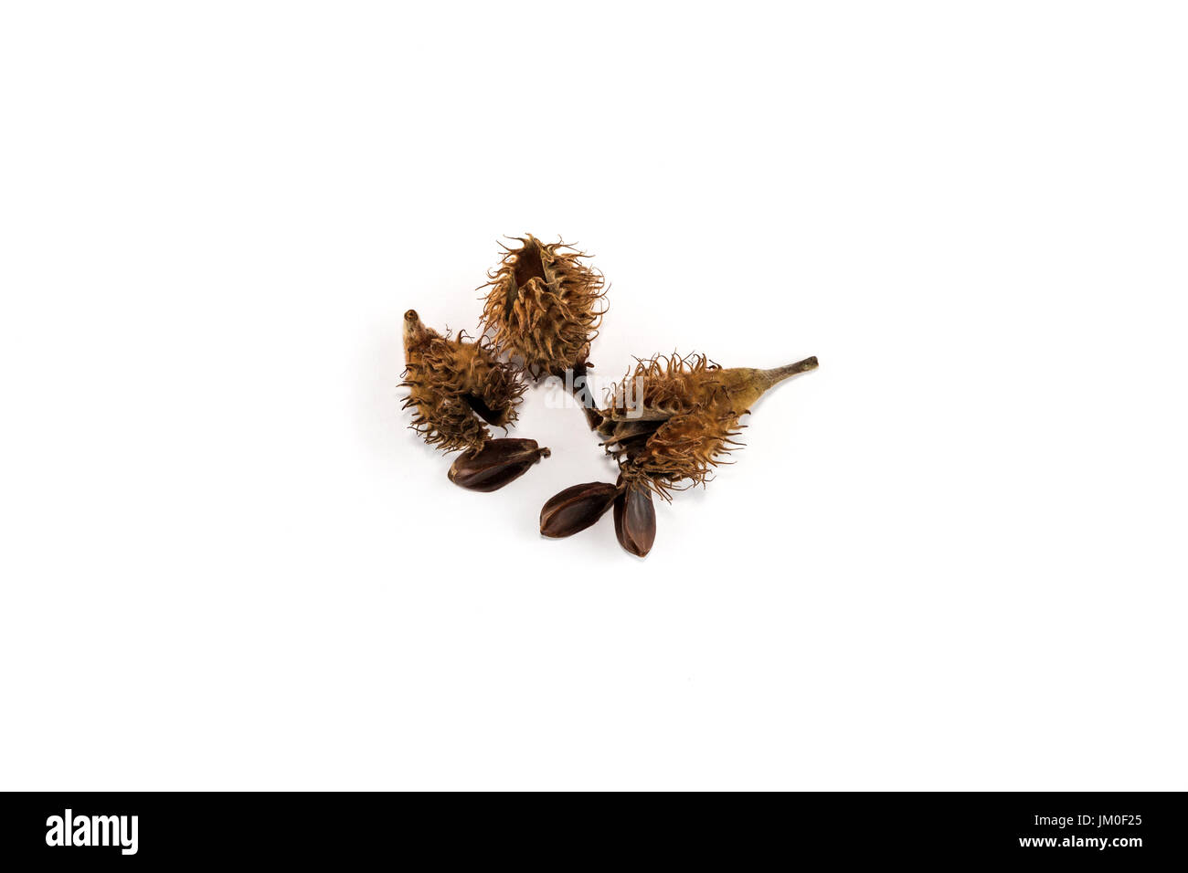 Background in autumn colors Cut Out Stock Images & Pictures - Alamy