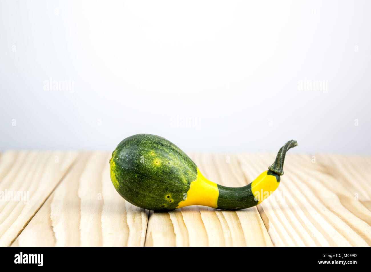 A decorative pumpkin (Crookneck squash) lying on wood with background ...
