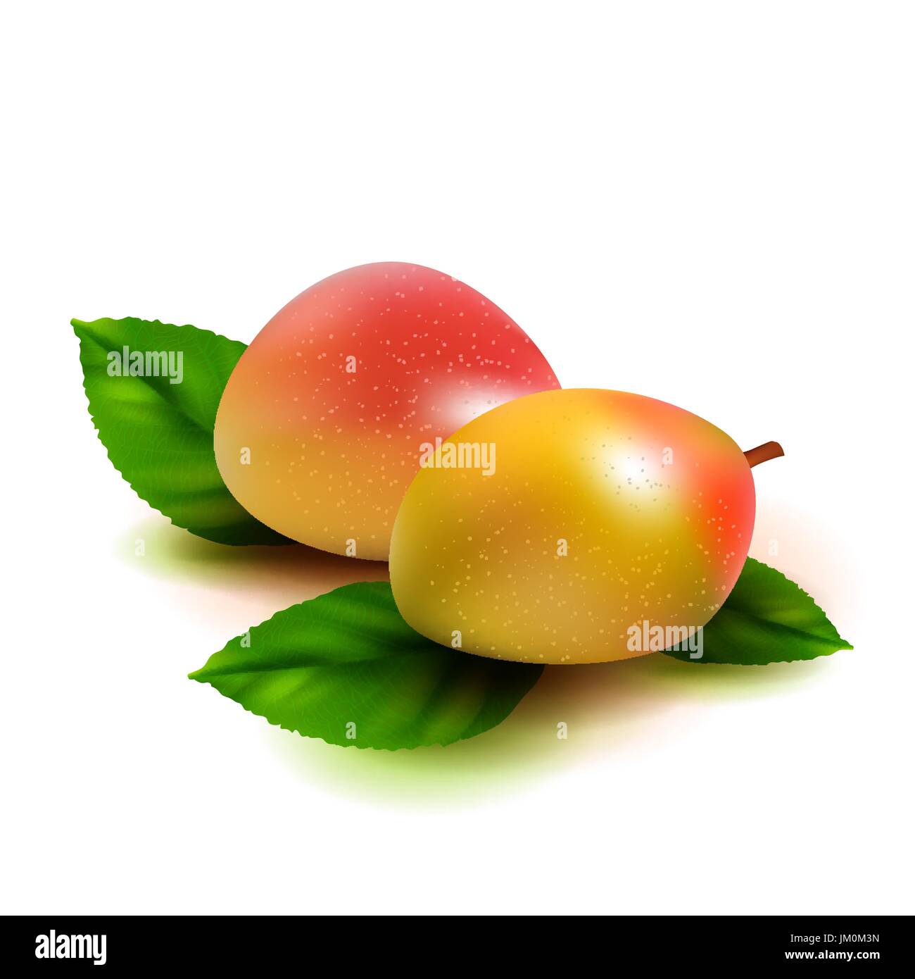 Realistic mango fruit with leaves isolated on white background Stock ...