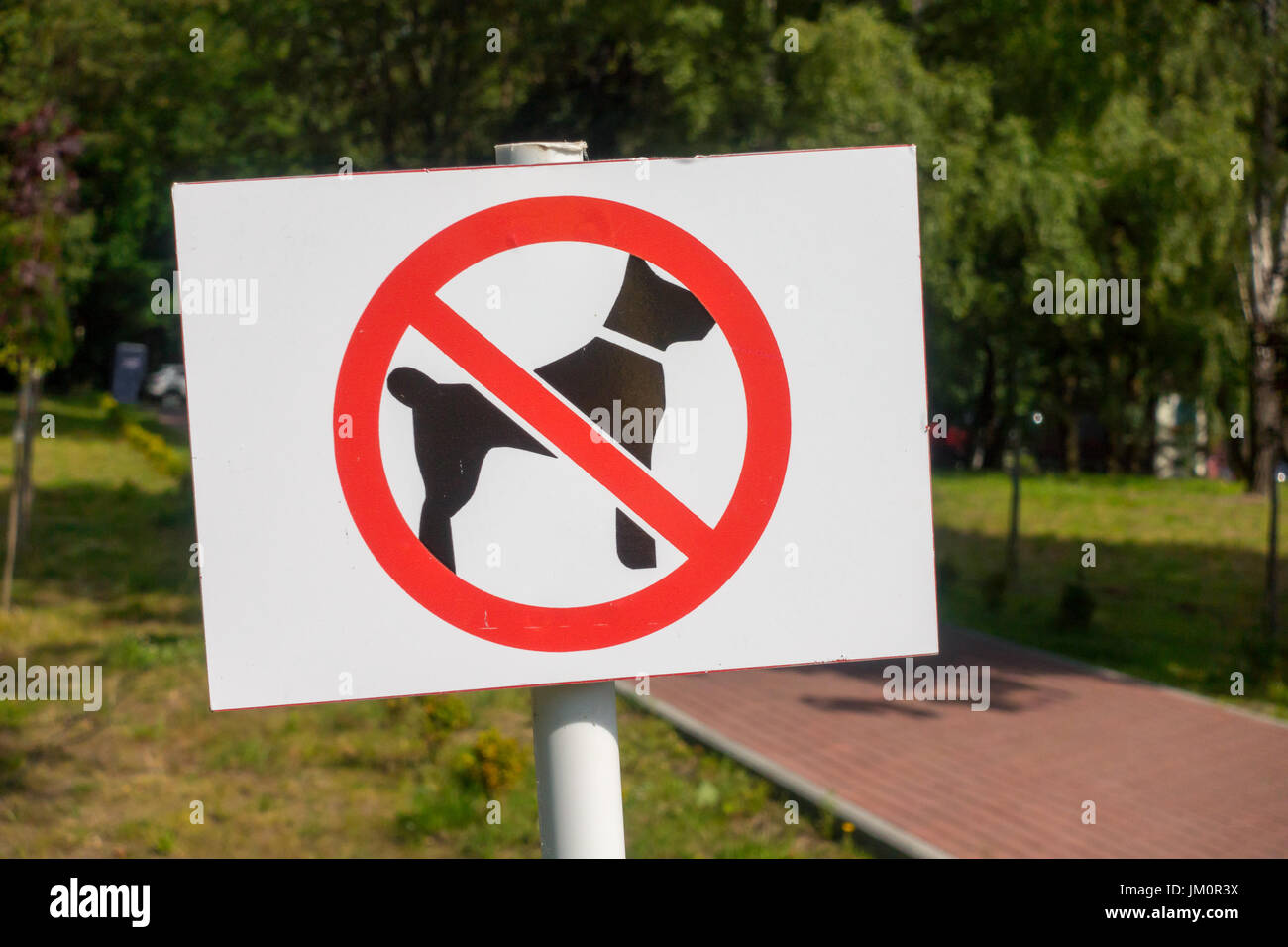 Forbidden dog walking sign Stock Photo - Alamy